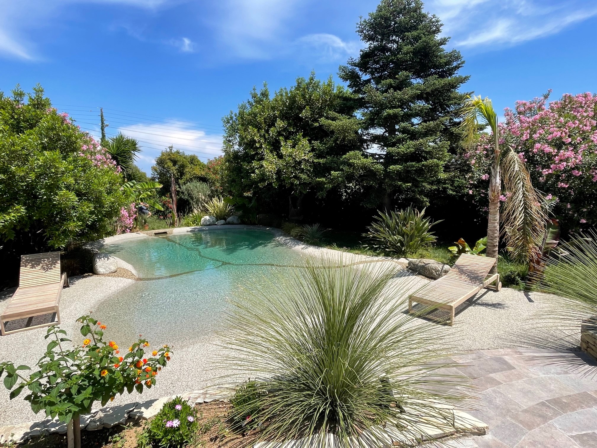 AU LAGON DE THAU - RICHARD ALAIN