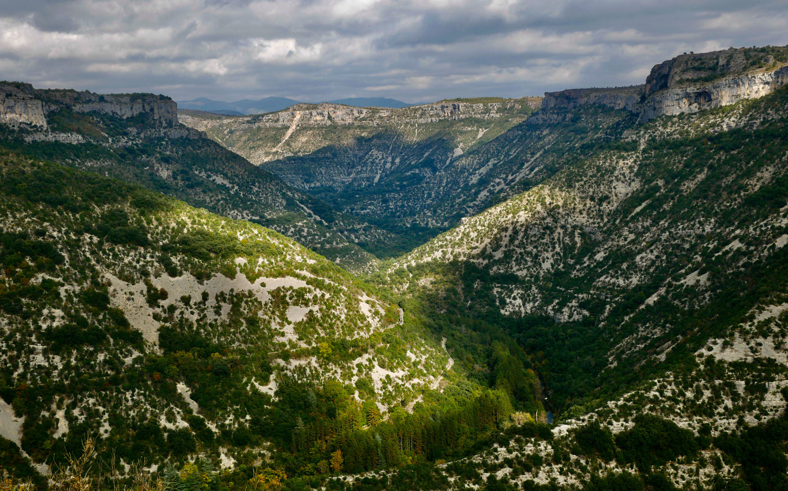 GORGE DE LA VIS